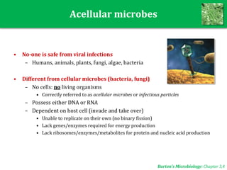 Microbiology UNIT 4: Viruses | PDF