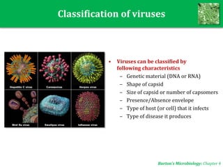 Microbiology UNIT 4: Viruses | PDF