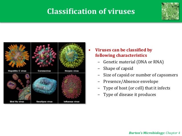 Microbiology UNIT 4: Viruses
