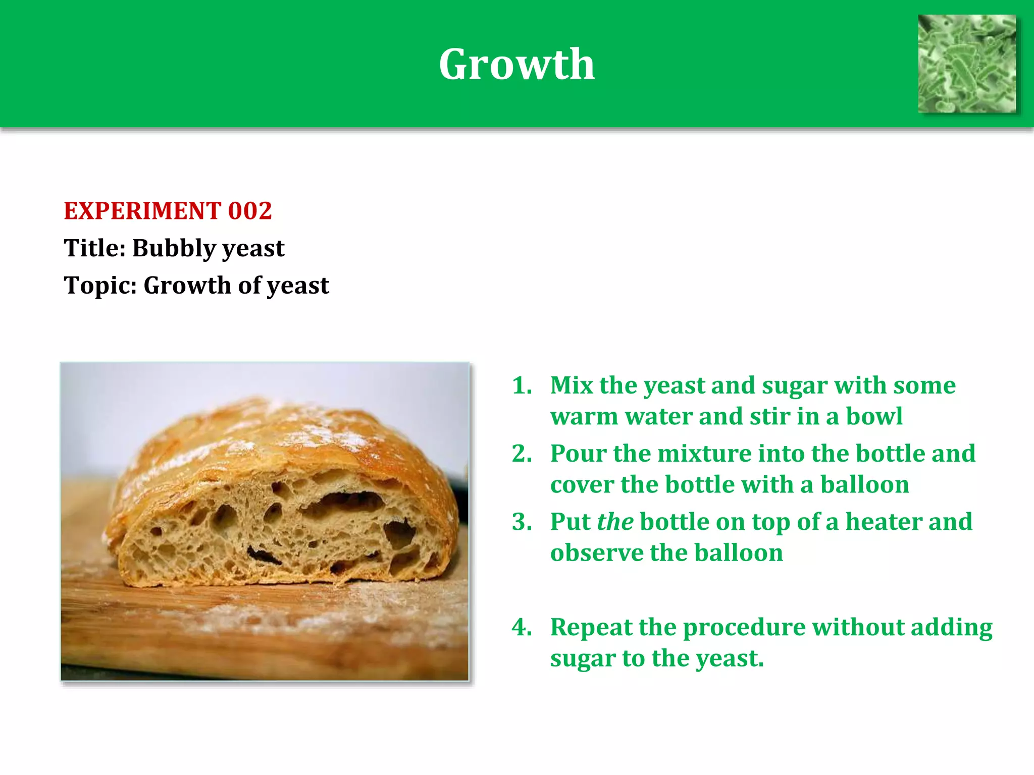 Microbiology UNIT 5: Fungi | PPTX