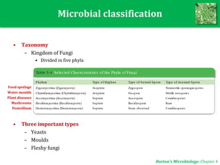 Microbiology UNIT 5: Fungi | PPTX