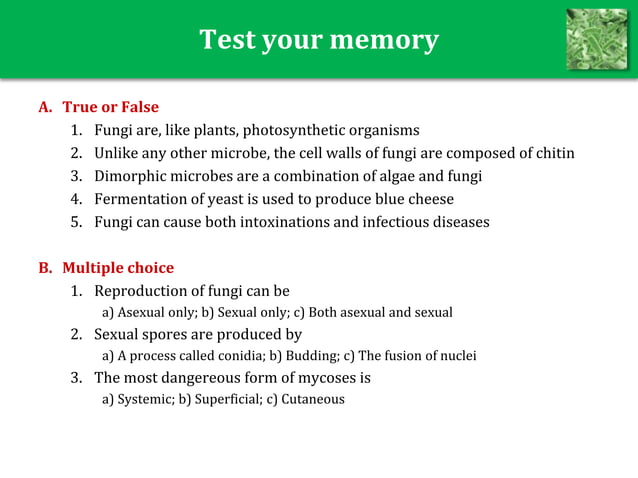 Microbiology UNIT 5: Fungi | PPTX