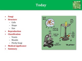 Microbiology UNIT 5: Fungi | PPTX