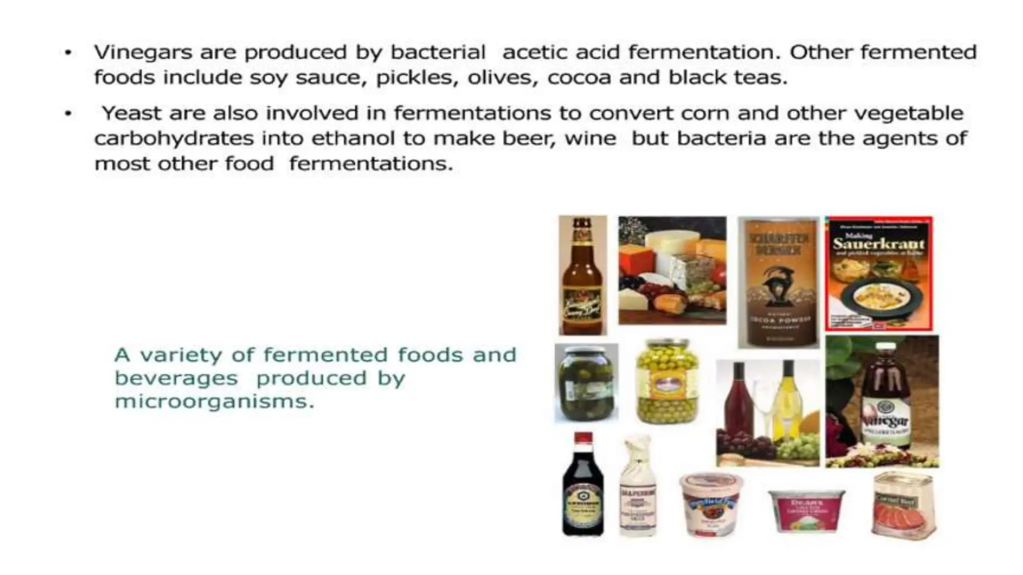 GBSN - Microbiology (Unit 7) Microbiology in Everyday Life | PPTX