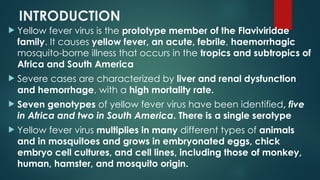 Introduction to yellow fever. How it's caused, treatment. | PPTX