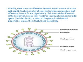 Microbiology viruses.pdf introduction to | PDF