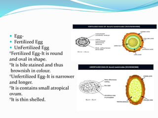 Mycology and parasitology | PPTX