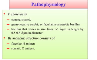 MicroBio M4- Bacteria 2. Cholera microbiology | PPTX