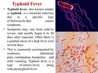 Microbio M4- Bacteria 3. Typhoid presentation | PPTX