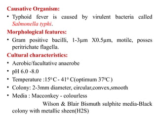 Microbio M4- Bacteria 3. Typhoid presentation | PPTX