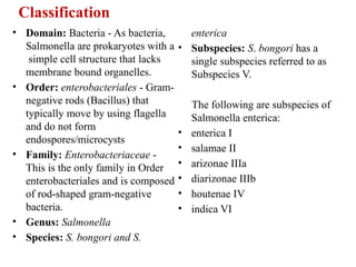 Microbio M4- Bacteria 3. Typhoid presentation | PPTX