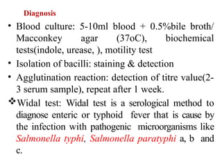 Microbio M4- Bacteria 3. Typhoid presentation | PPTX