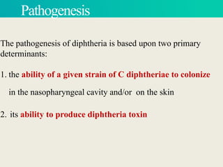 MicrobioM4- Bacteria 6. Diphtheria .pptx