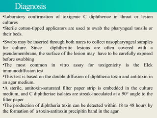 MicrobioM4- Bacteria 6. Diphtheria .pptx
