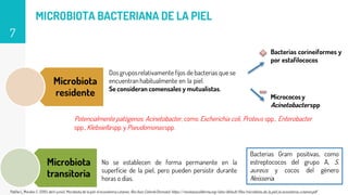 MICROBIOMA CUTNAEO Dra maria rocha.pptx