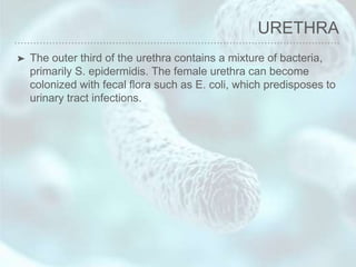 Microbiome | PPTX