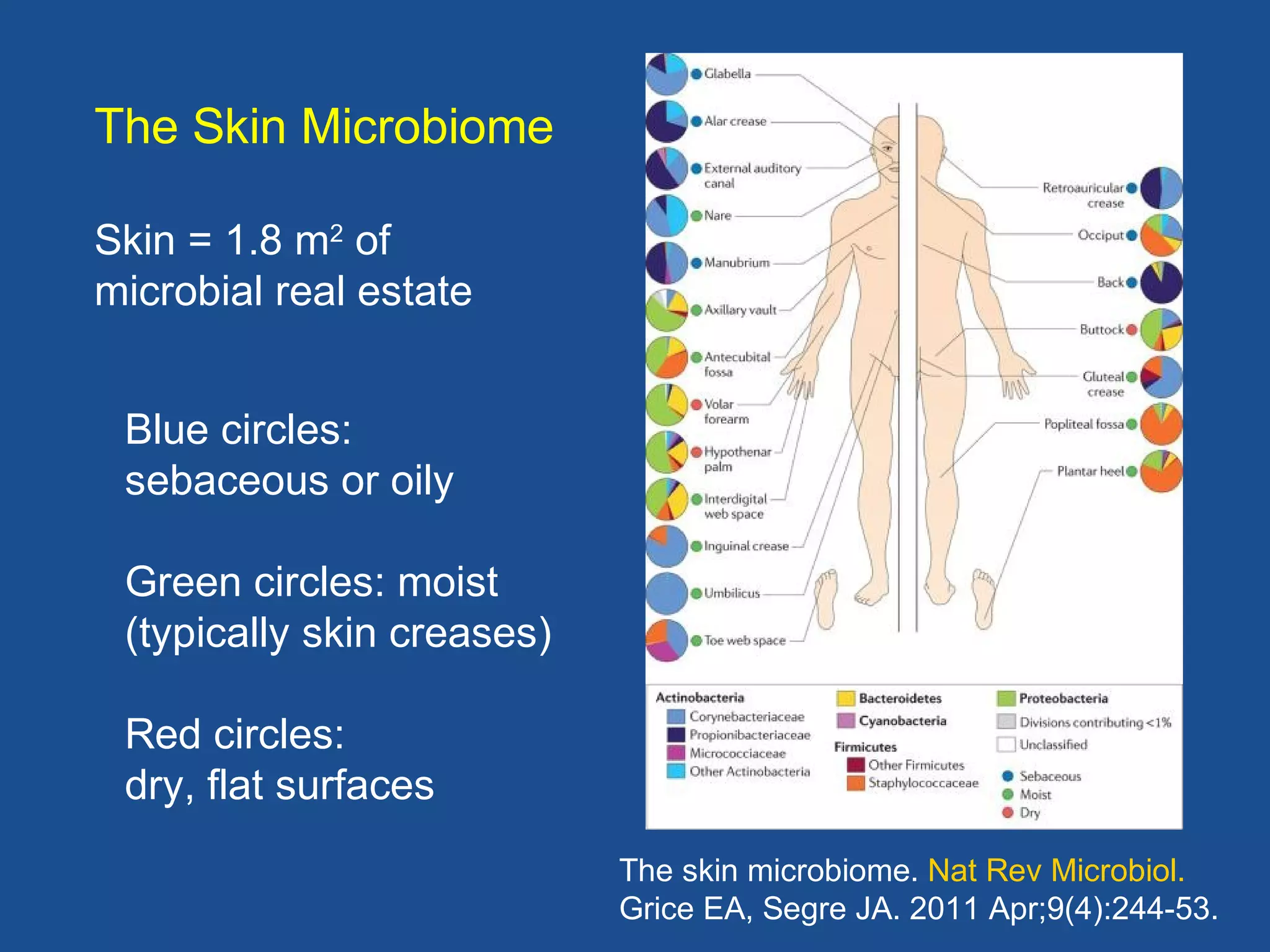 The Human Microbiome in Sports Performance and Health | PPT