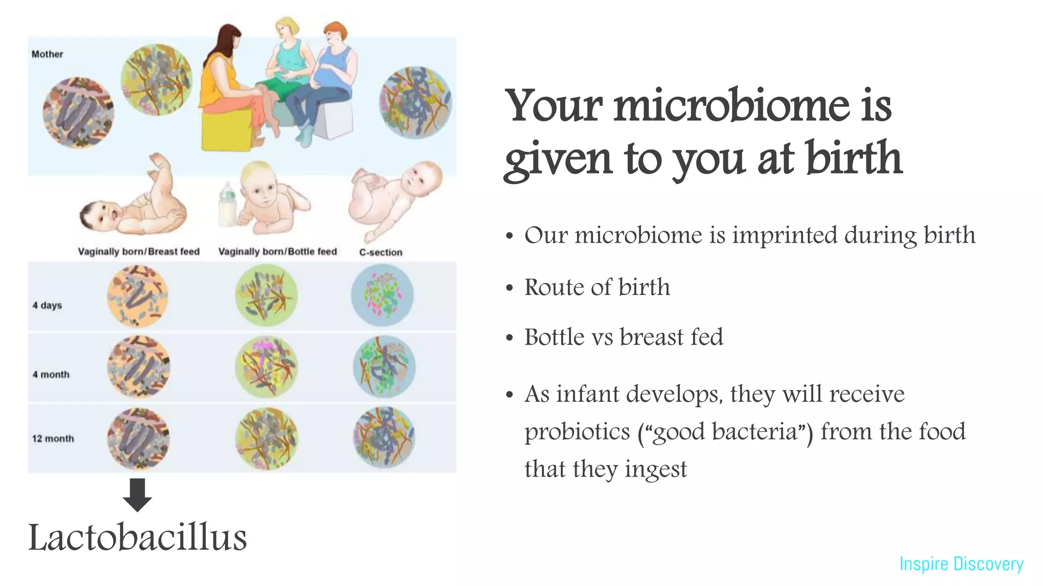 Microbiome 101 | PPTX