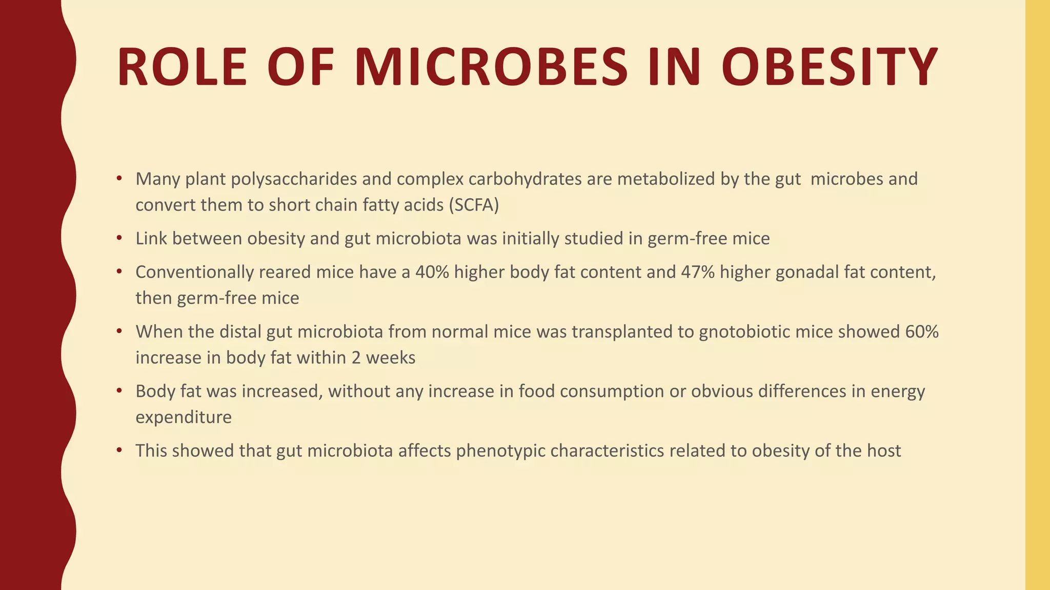 Microbiome and obesity | PPTX