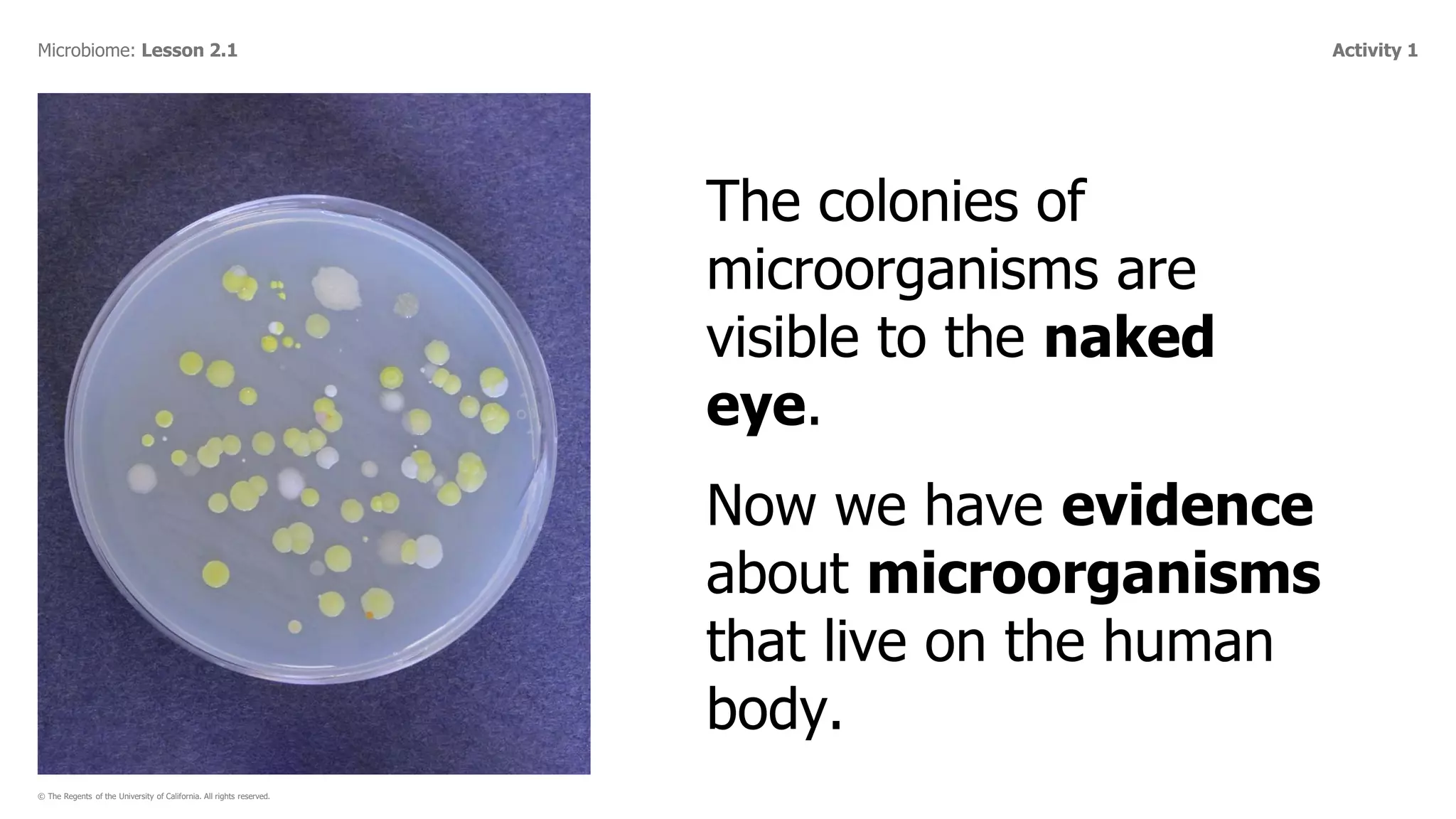 MicroBiome_Lesson_2_PowerPoint_.pdf