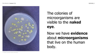 MicroBiome_Lesson_2_PowerPoint_.pdf