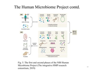 microbiomes.pptx