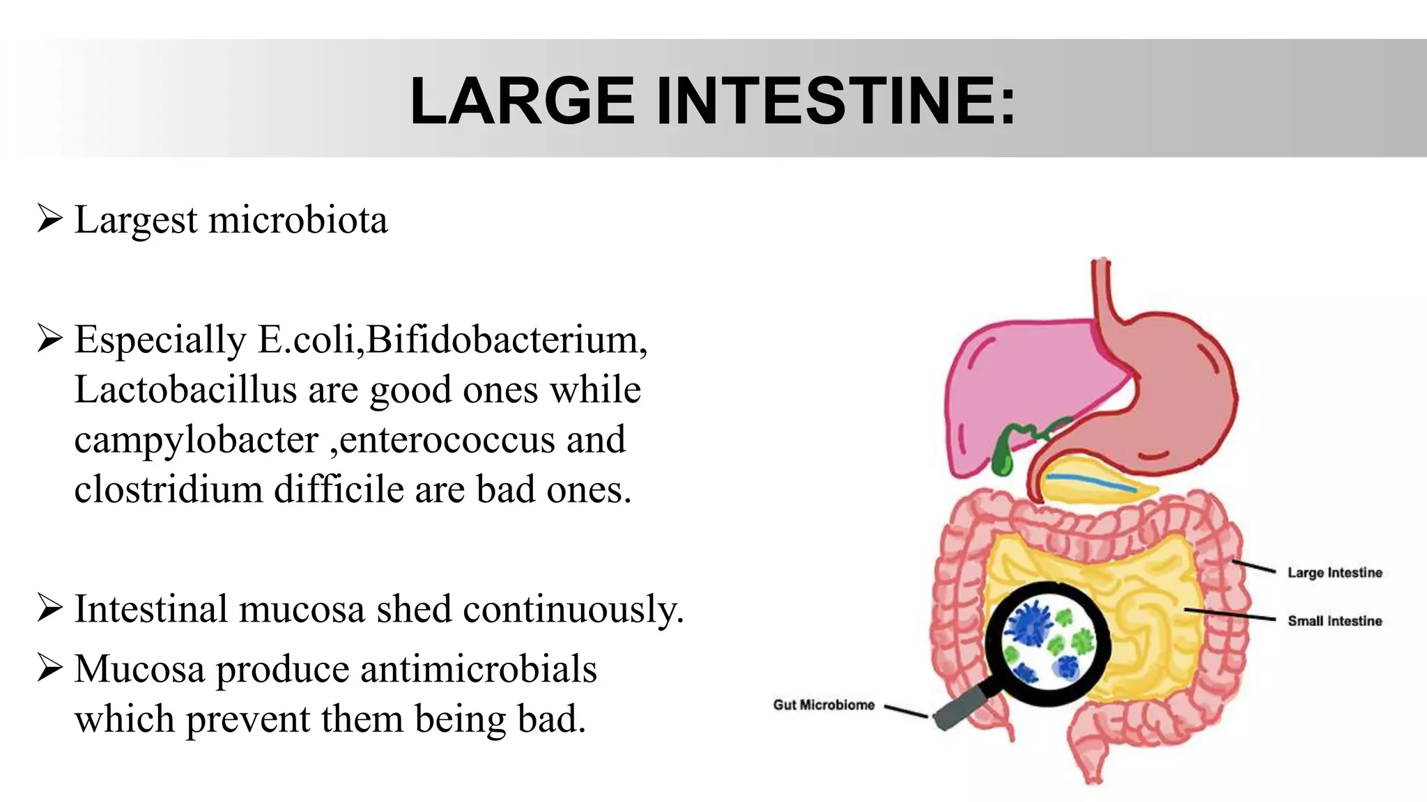 MICROBIOMES AND HUMAN HEALTH.pptx