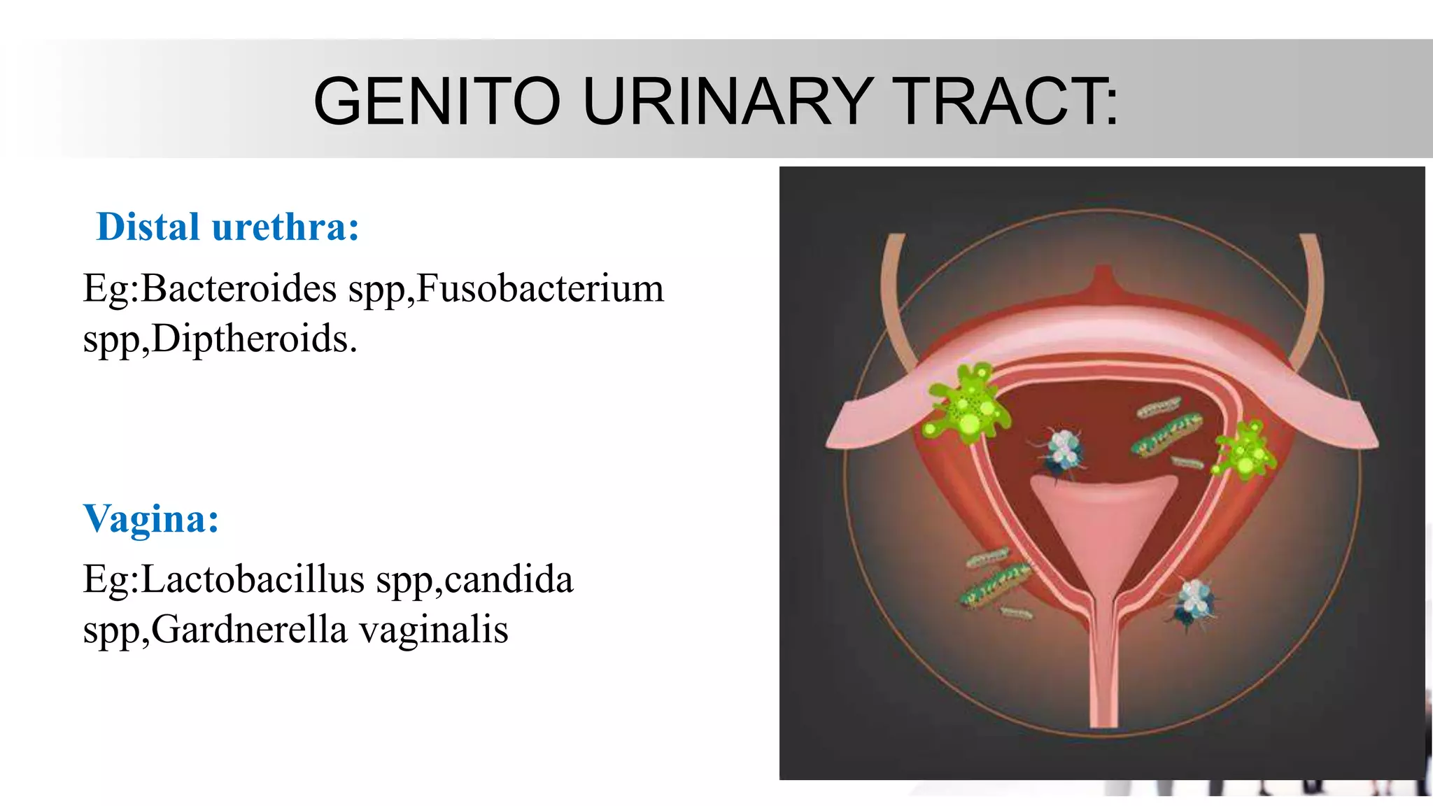 MICROBIOMES AND HUMAN HEALTH.pptx