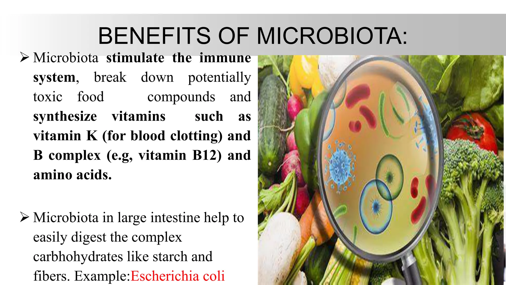 MICROBIOMES AND HUMAN HEALTH.pptx