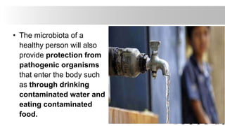 MICROBIOMES AND HUMAN HEALTH.pptx