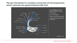 Dietary tools for shaping the gut microbiome | PPT