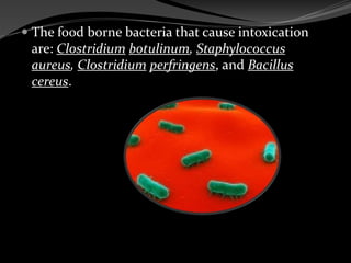 food borne infection and intoxication | PPTX