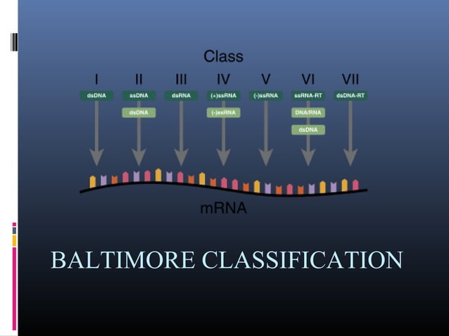 viral taxonomy (microbiology) | PPT | Operating Systems | Computer Software and Applications