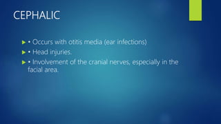 clostridium tetani | PPTX