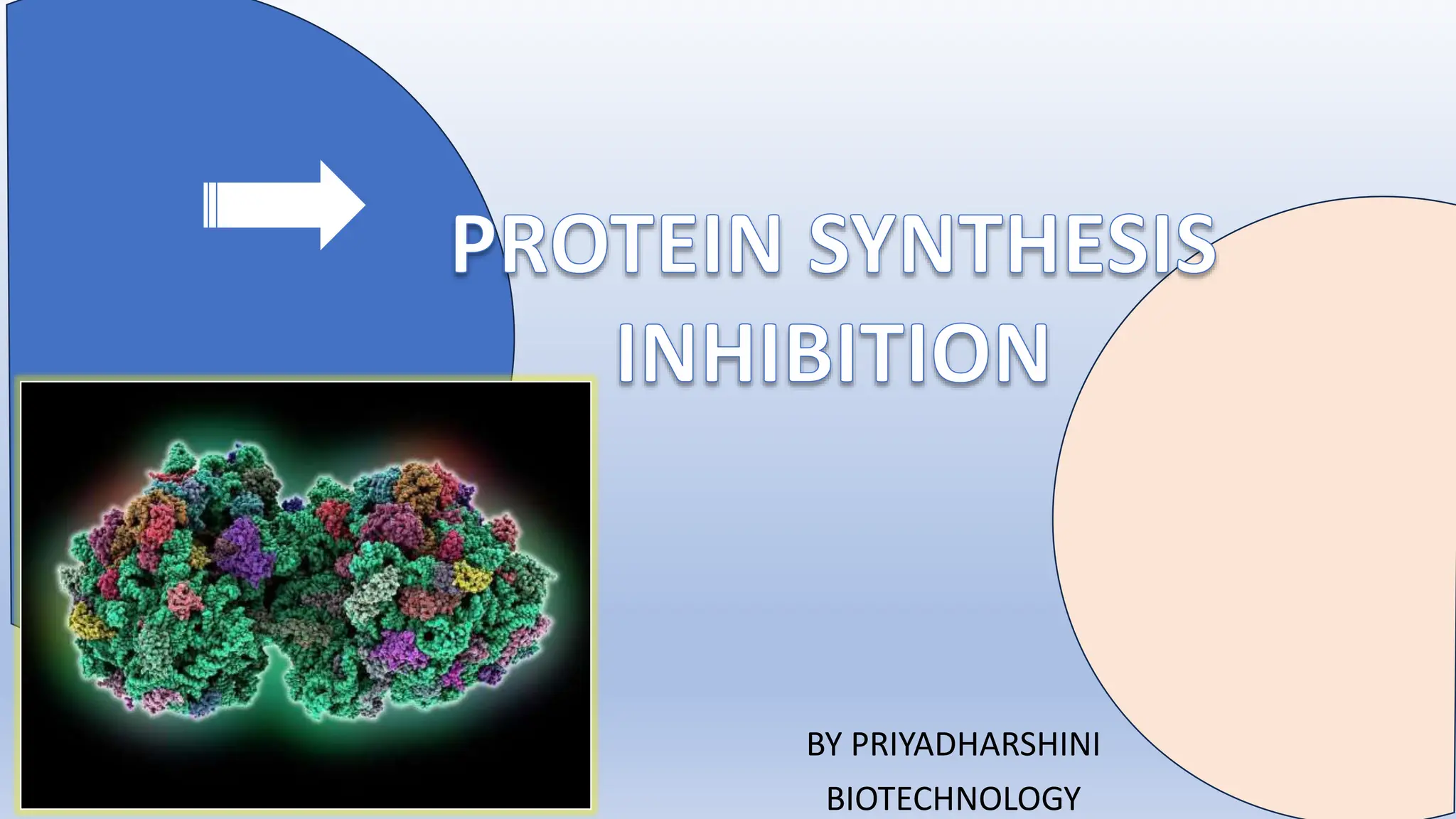 PROTEIN SYNTHESIS INHIBITION | PPTX