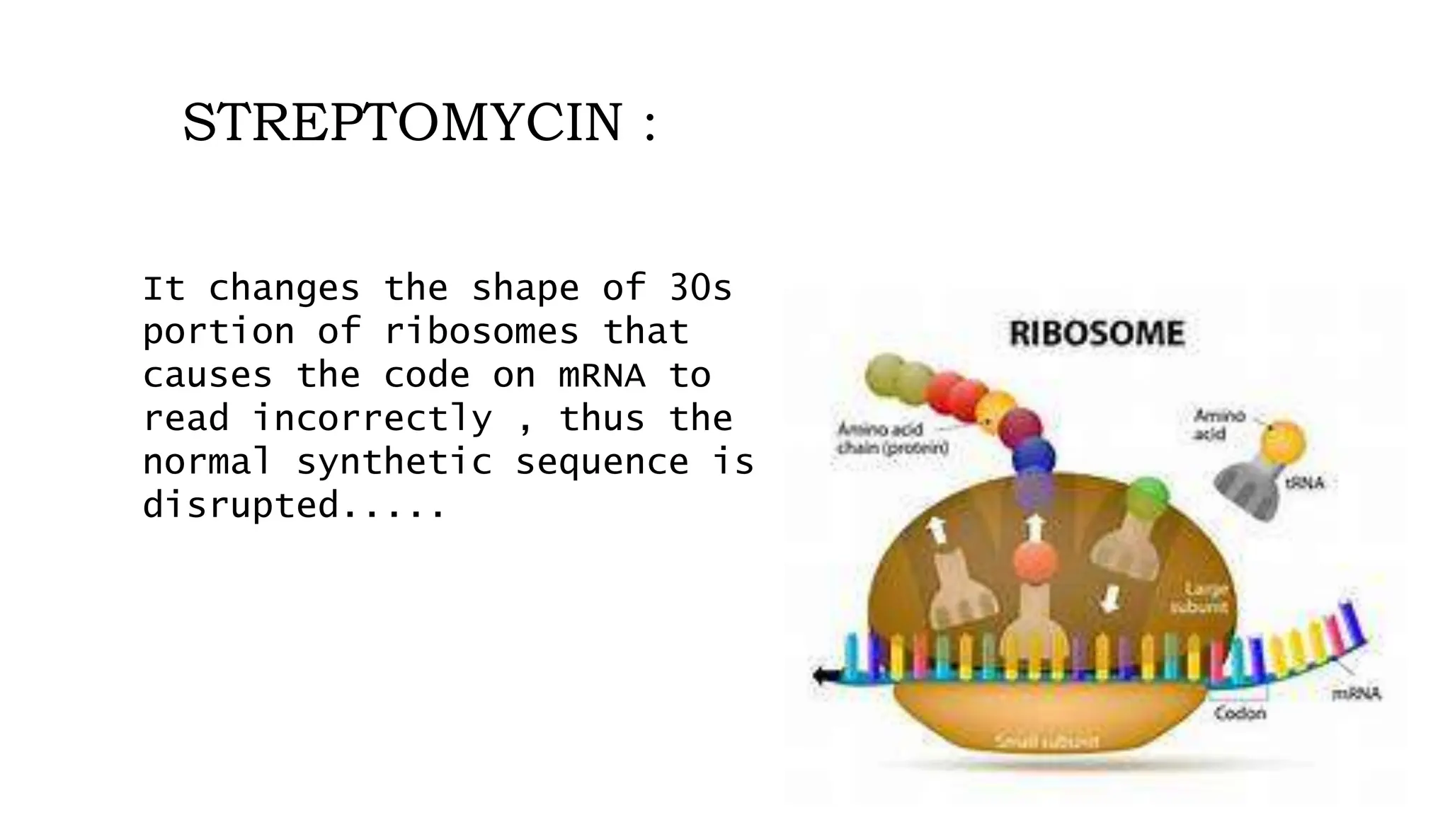 PROTEIN SYNTHESIS INHIBITION | PPTX