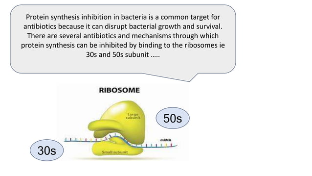 PROTEIN SYNTHESIS INHIBITION | PPTX | Chemistry | Science