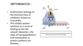 PROTEIN SYNTHESIS INHIBITION | PPTX