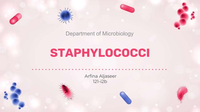 Microbiology : Staphylococci | PPT