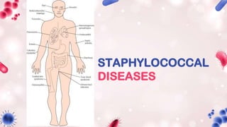 Microbiology : Staphylococci | PPTX | Chemistry | Science