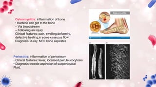 Microbiology : Staphylococci | PPT