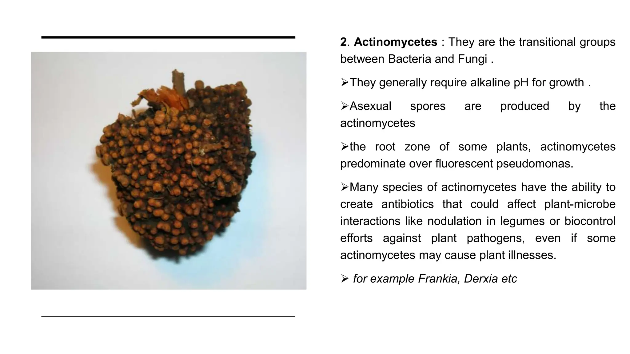Microbial diversity in Rhizospheric and non Rhizospheric zone of soil ...