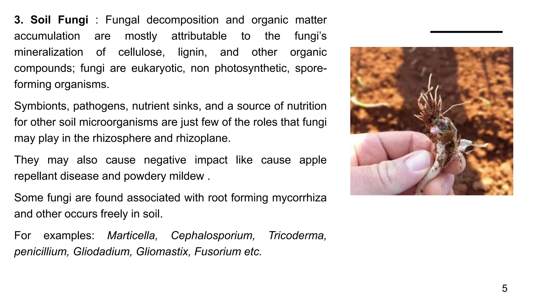 Microbial diversity in Rhizospheric and non Rhizospheric zone of soil ...