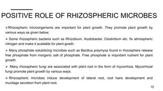 Microbial diversity in Rhizospheric and non Rhizospheric zone of soil ...