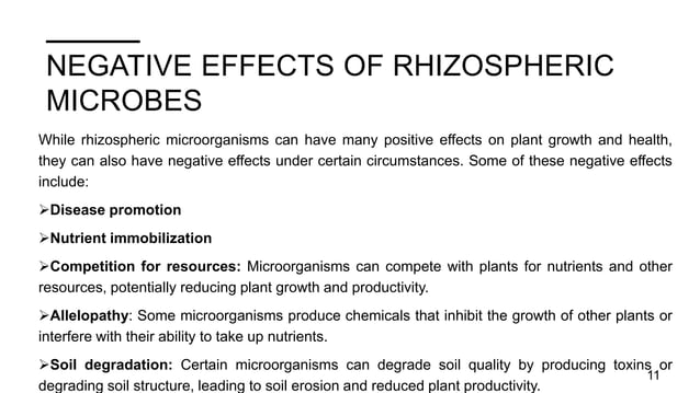 Microbial diversity in Rhizospheric and non Rhizospheric zone of soil ...
