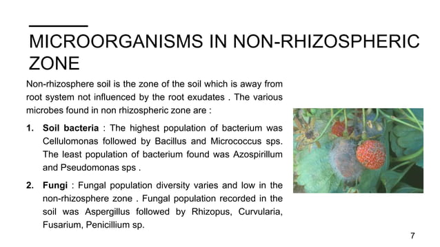 Microbial diversity in Rhizospheric and non Rhizospheric zone of soil ...