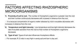 Microbial diversity in Rhizospheric and non Rhizospheric zone of soil ...