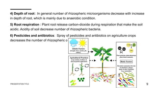Microbial diversity in Rhizospheric and non Rhizospheric zone of soil ...