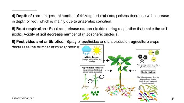 Microbial diversity in Rhizospheric and non Rhizospheric zone of soil ...