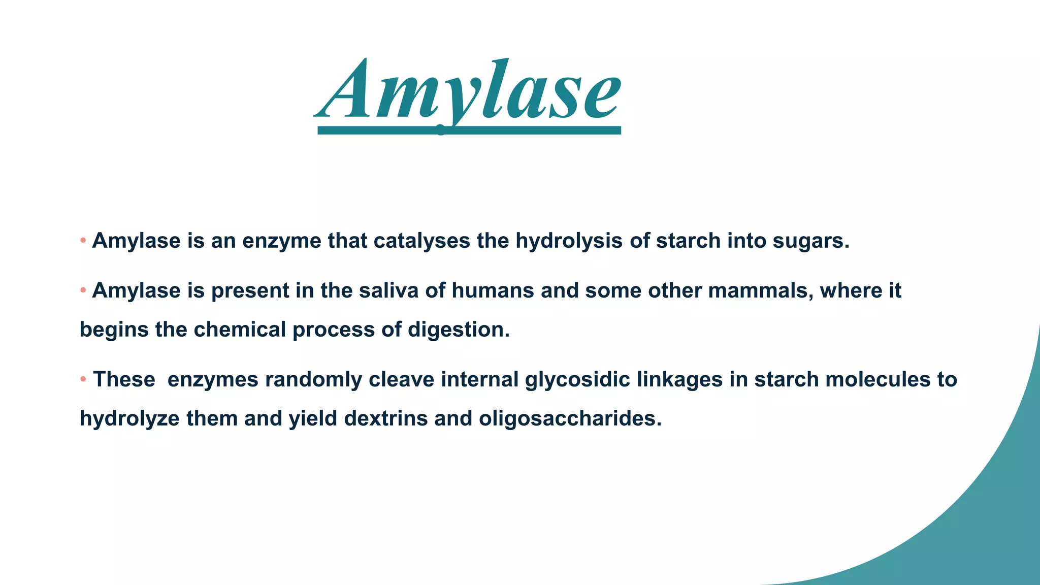 INDUSTRIAL PRODUCTION OF AMYLASE FROM FUNGUS | PPTX
